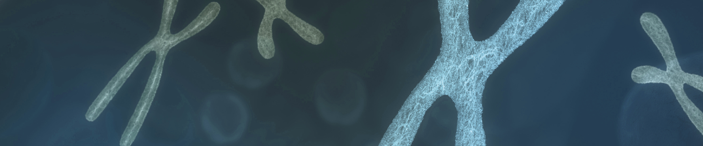 Unfolding the Whole Transcriptome of the American Type Culture ...