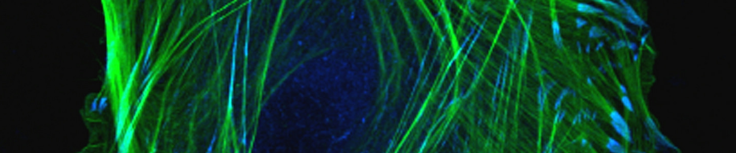 Primary Cell Culture Guide | ATCC