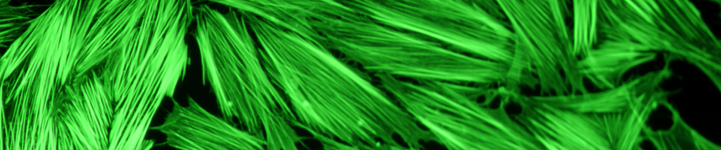 Primary Cell Culture Guide | ATCC