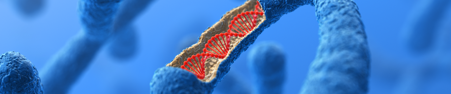ATCC Cell Line Land: An RNA-seq Reference Database for Authenticated ...