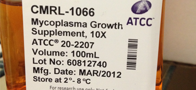 Mycoplasma Contamination | ATCC
