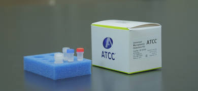 Mycoplasma Contamination | ATCC