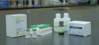 Cell Proliferation Assays | ATCC