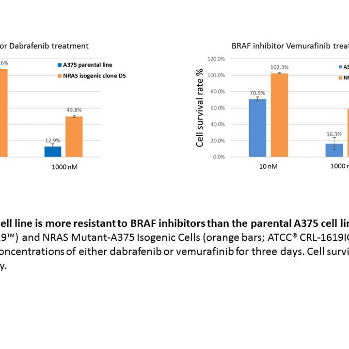 NRAS mutant-A375 Isogenic Cell Line - CRL-1619IG-2 | ATCC