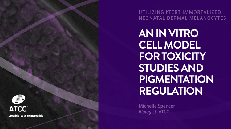 An In Vitro Cell Model for Toxicity Studies and Pigmentation Regulation ...