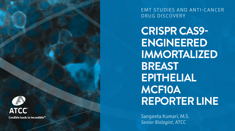 CRISPR/Cas9-engineered Immortalized Breast Epithelial MCF10A Reporter ...
