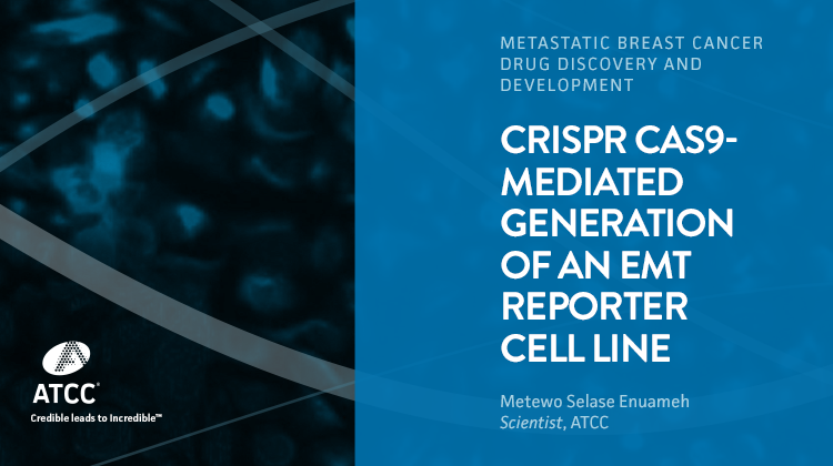 CRISPR cas9-mediated Generation of an EMT Reporter Cell Line for ...