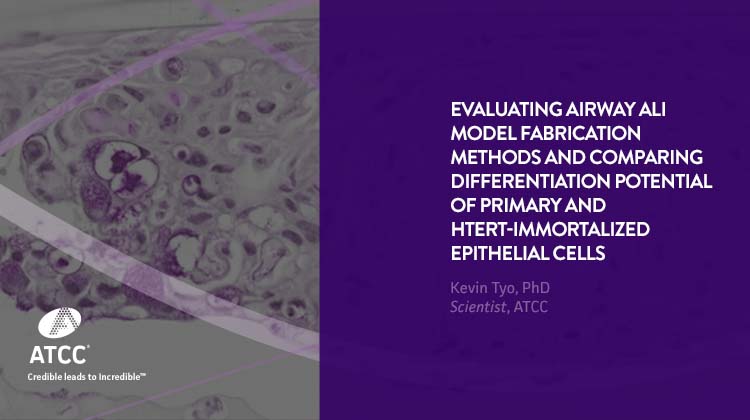 Evaluating airway ALI model fabrication methods and comparing ...
