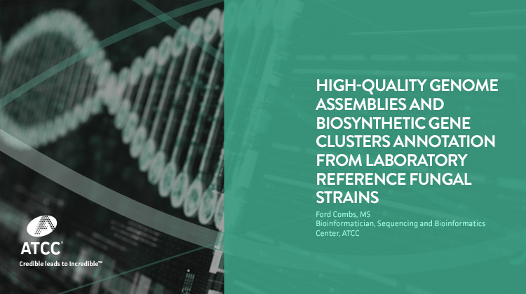 High-quality Genome Assemblies from Laboratory Reference Fungal Strains ...