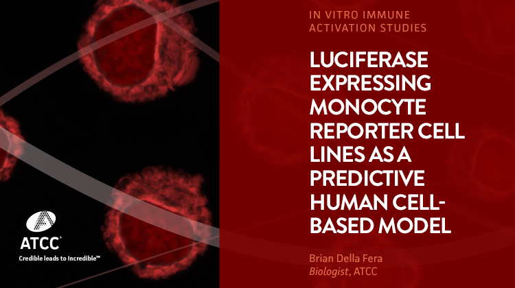 Luciferase-expressing Monocyte Reporter Cell Lines as a Predictive ...
