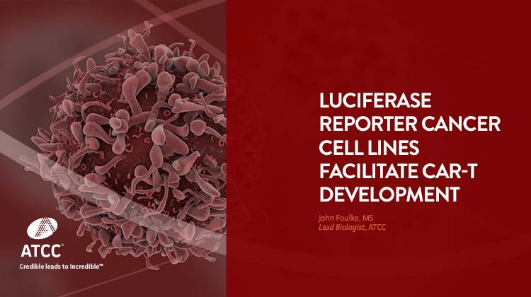 Luciferase Reporter Cancer Cell Lines Facilitate CAR-T Development | ATCC Luciferase Reporter Cancer Cell Lines Facilitate CAR-T Development | ATCC