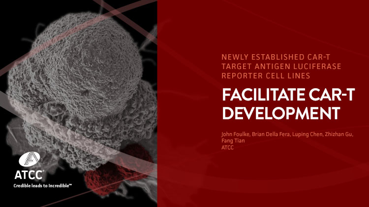Newly Established CAR-T Target Antigen Luciferase Reporter Cell Lines ...