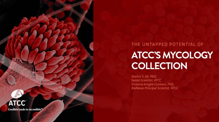 The Untapped Potential of ATCC’s Fungal Collection | ATCC