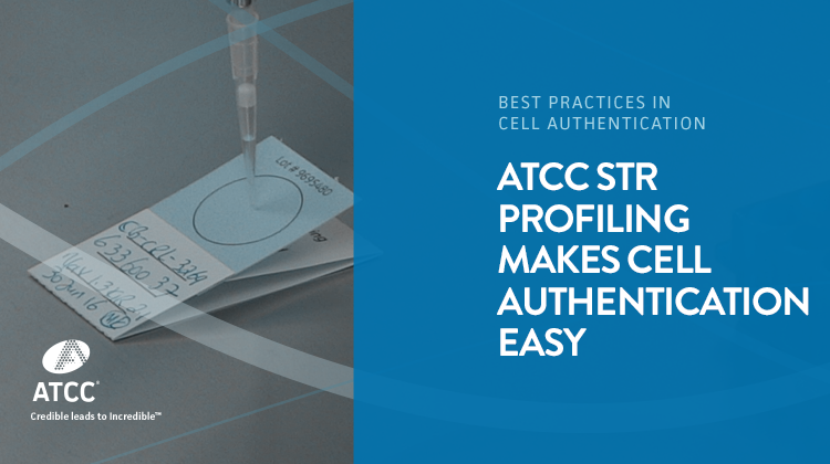 Human Cell STR Testing | ATCC