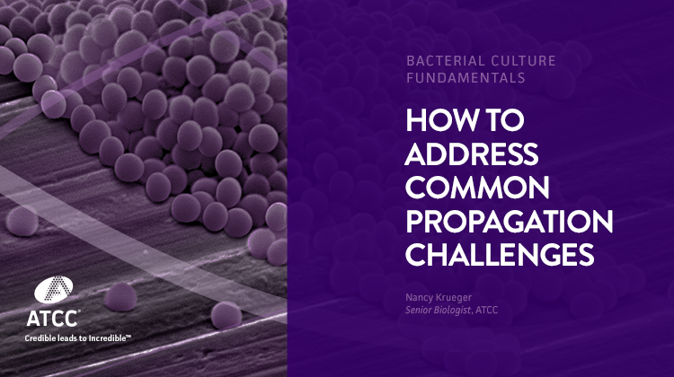 Bacterial Culture Fundamentals: How to Address Common Propagation ...