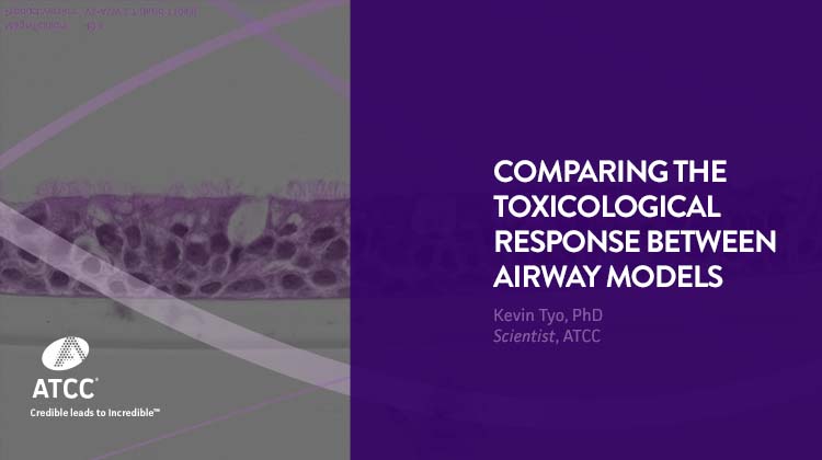 Does Differentiation Matter? Comparing the Toxicological Response ...