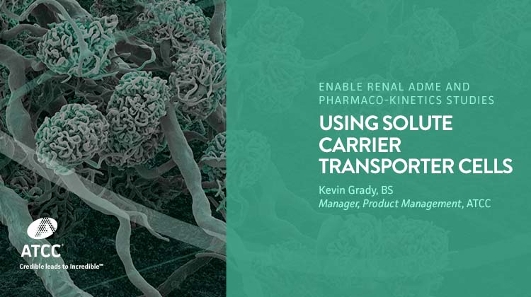 Enable Renal ADME and Pharmaco-kinetics Studies Using Solute Carrier ...