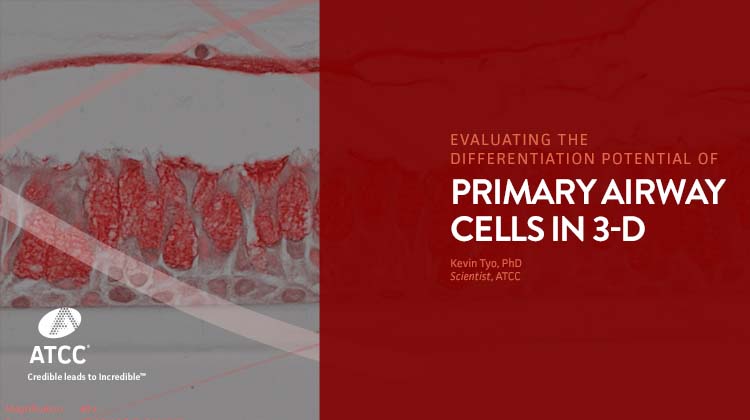Evaluating the Differentiation Potential of Primary Airway Cells in 3-D ...