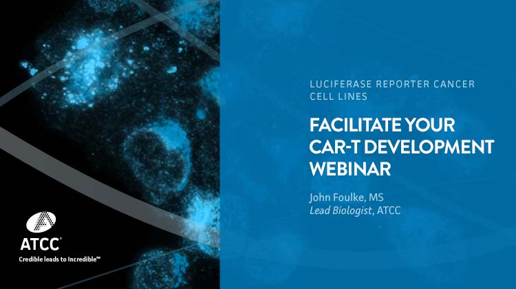 Luciferase Reporter Cancer Cell Lines: Facilitate Your CAR-T ...