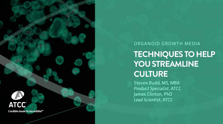 Tips and Techniques for Successfully Culturing Organoids Webinar | ATCC