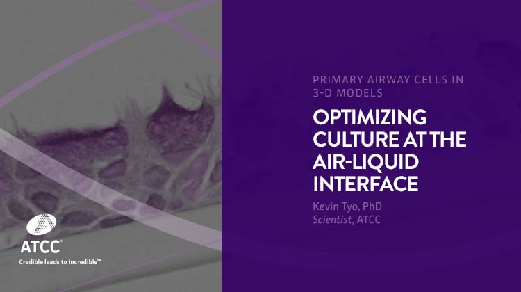Primary Airway Cells in 3-D Models: Optimizing Culture at the Air ...