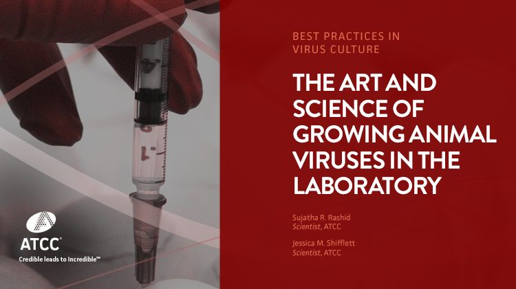 The Art and Science of Growing Animal Viruses in the Laboratory | ATCC