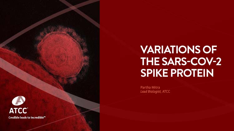 Variations of the SARS-CoV-2 Spike Protein – Challenges and Impact | ATCC