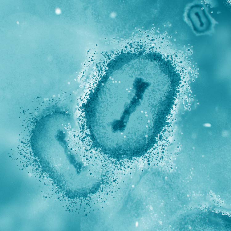 Development and Validation of a Quantitative Synthetic Molecular ...