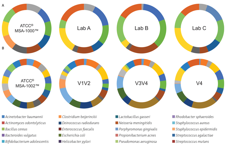 Development and Evaluation of Whole Cell- and Genomic DNA-based NGS ...