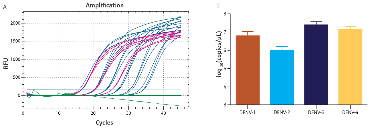 Development and Use of Synthetic Molecular Standards for Dengue Virus ...