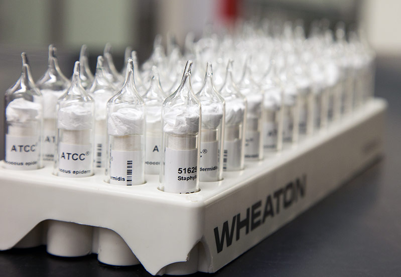 Mycology Culture Guide | ATCC