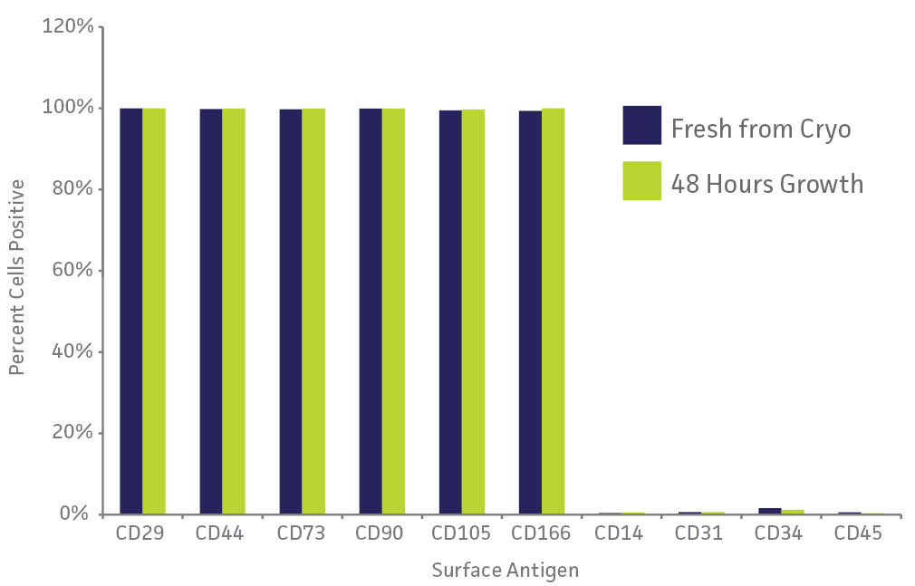 Primary Cell Culture Guide | ATCC