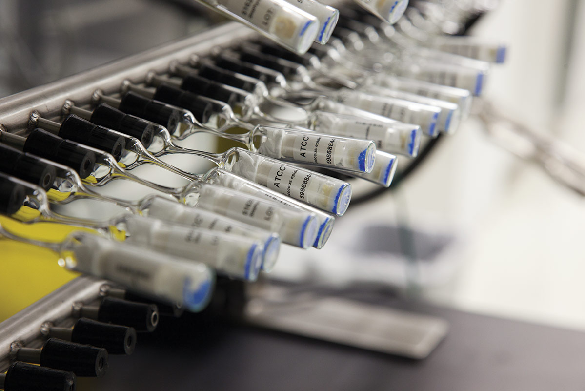Virology Culture Guide | ATCC