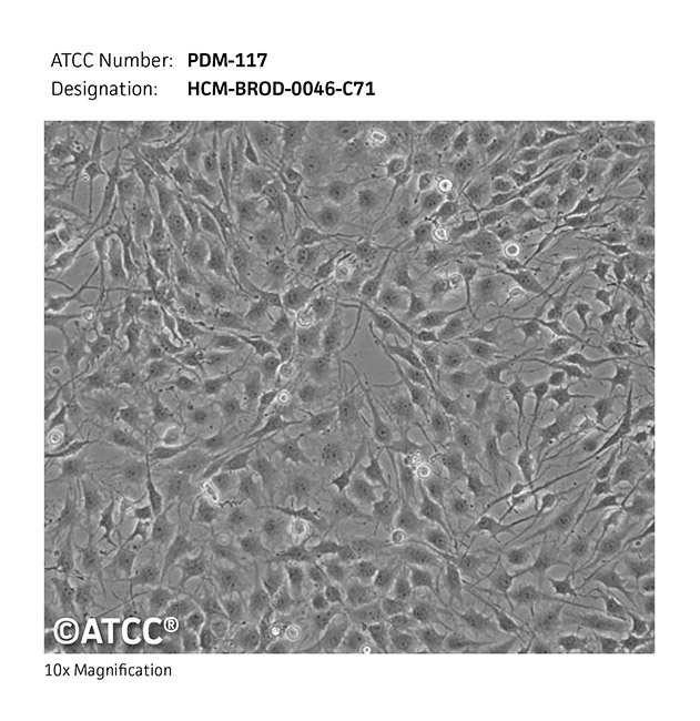 HCM-BROD-0046-C71 - PDM-117 | ATCC